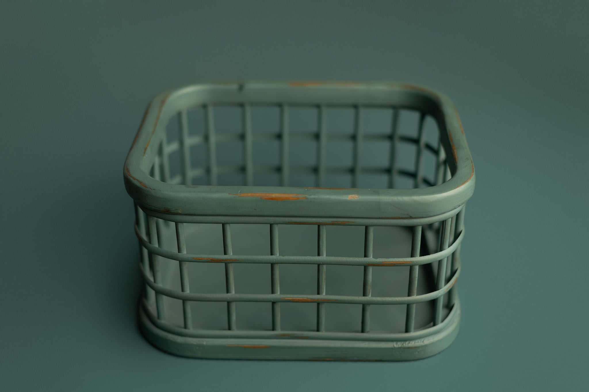 Painted Cages