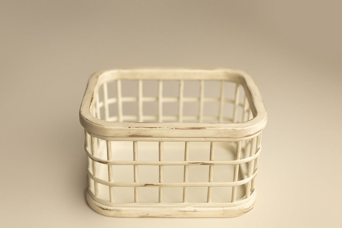 New Releases + Restocks