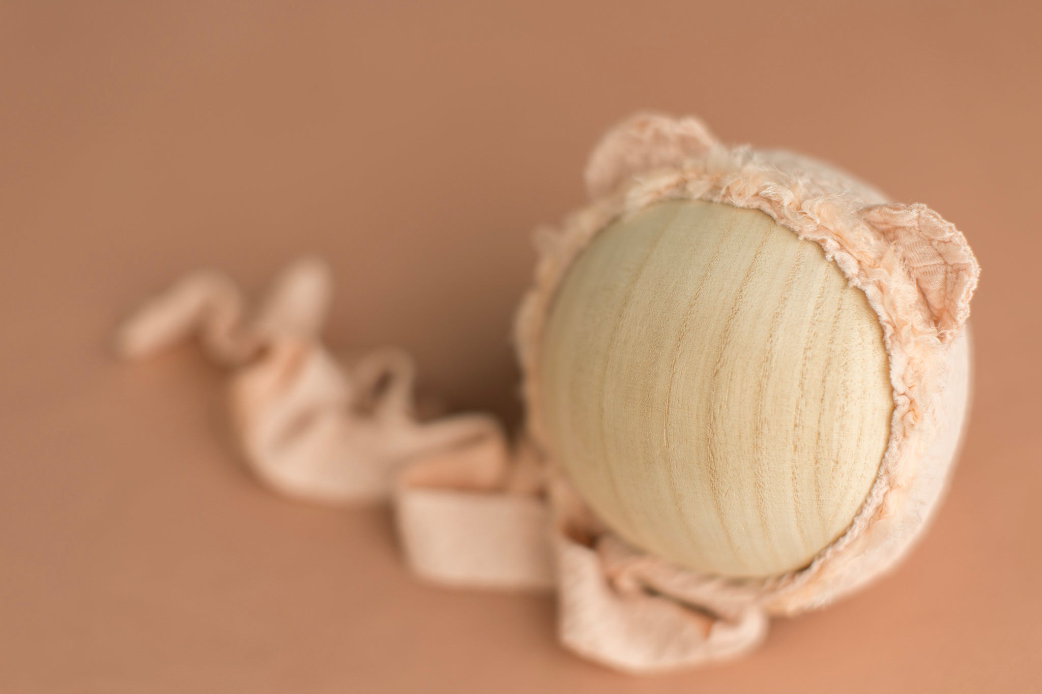 Kitty Nose Collection