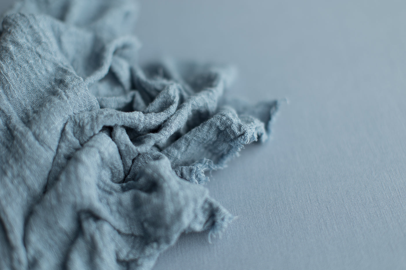 The Session Collection | Windward Blue